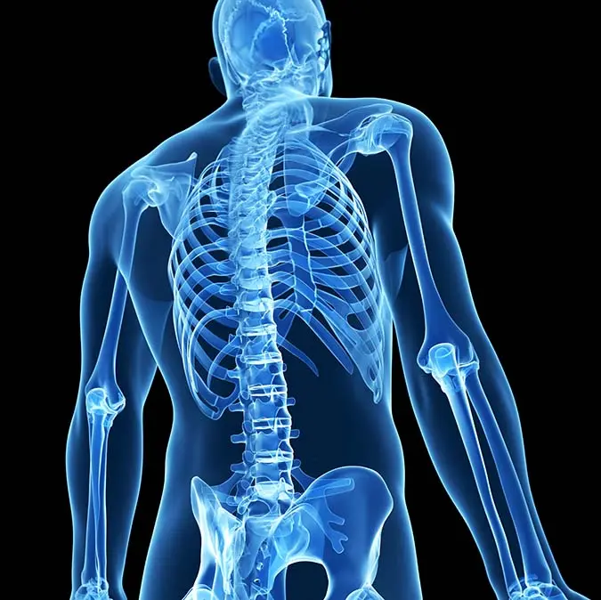 Researchers To Test 'Bionic Spine' On Humans - Gluckstein Lawyers