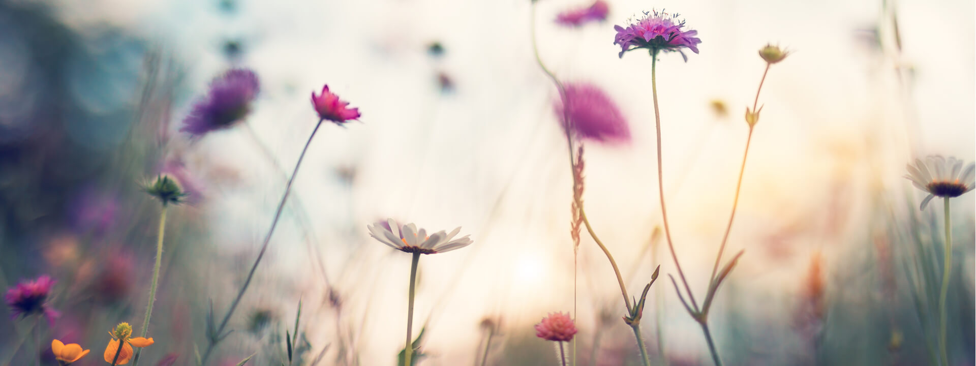 A Guide for Childhood Sexual Abuse Survivors